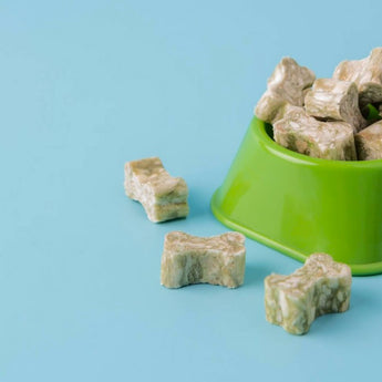 Pet Clothing Store | Stylish Apparel for Cat & Dog | Pet Essential ...