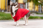Pet Essential Store | One-Stop Shop for Affordable Pet Supplies